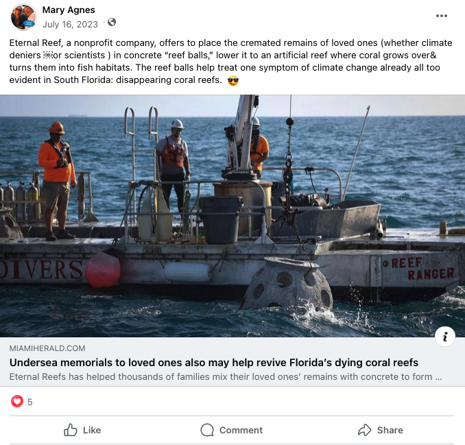 Florida charity offers coral reef memorials rather than funerals – NBC 6 South Florida